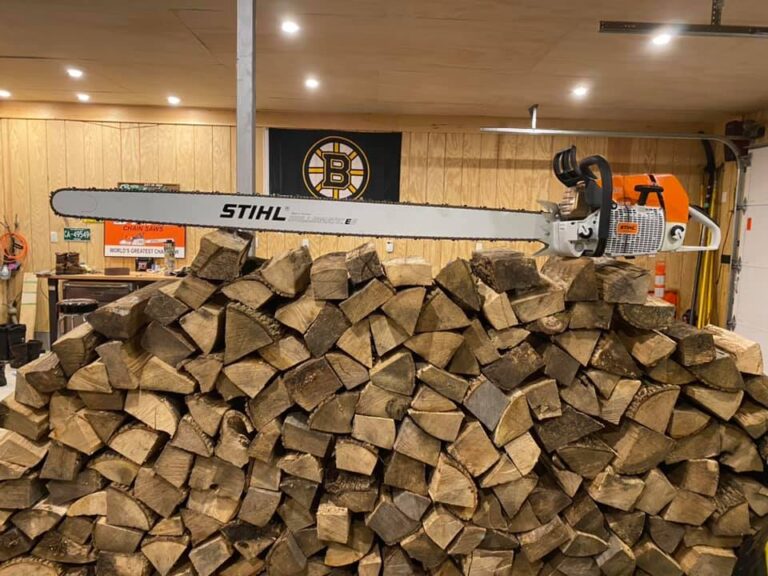 7 EPIC Barber Chair Tree Videos: Tree Trunks Splitting Vertically