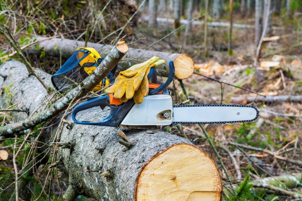 7 BEST Top Handle Chainsaws 2023: For Climbing, Limbing, & Pruning