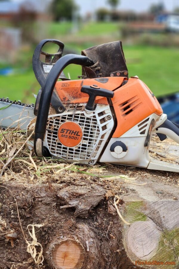 How To Get Rid Of Tree Stumps: 8 Ways From Fastest To Slowest