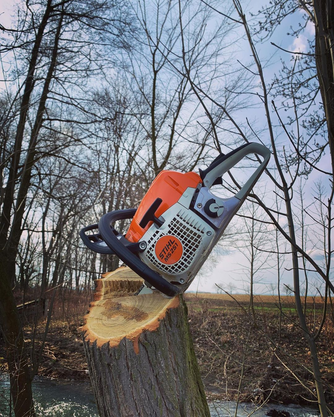 Stihl MS251 Chainsaw Review 2024: The Best Stihl Chainsaw For You?