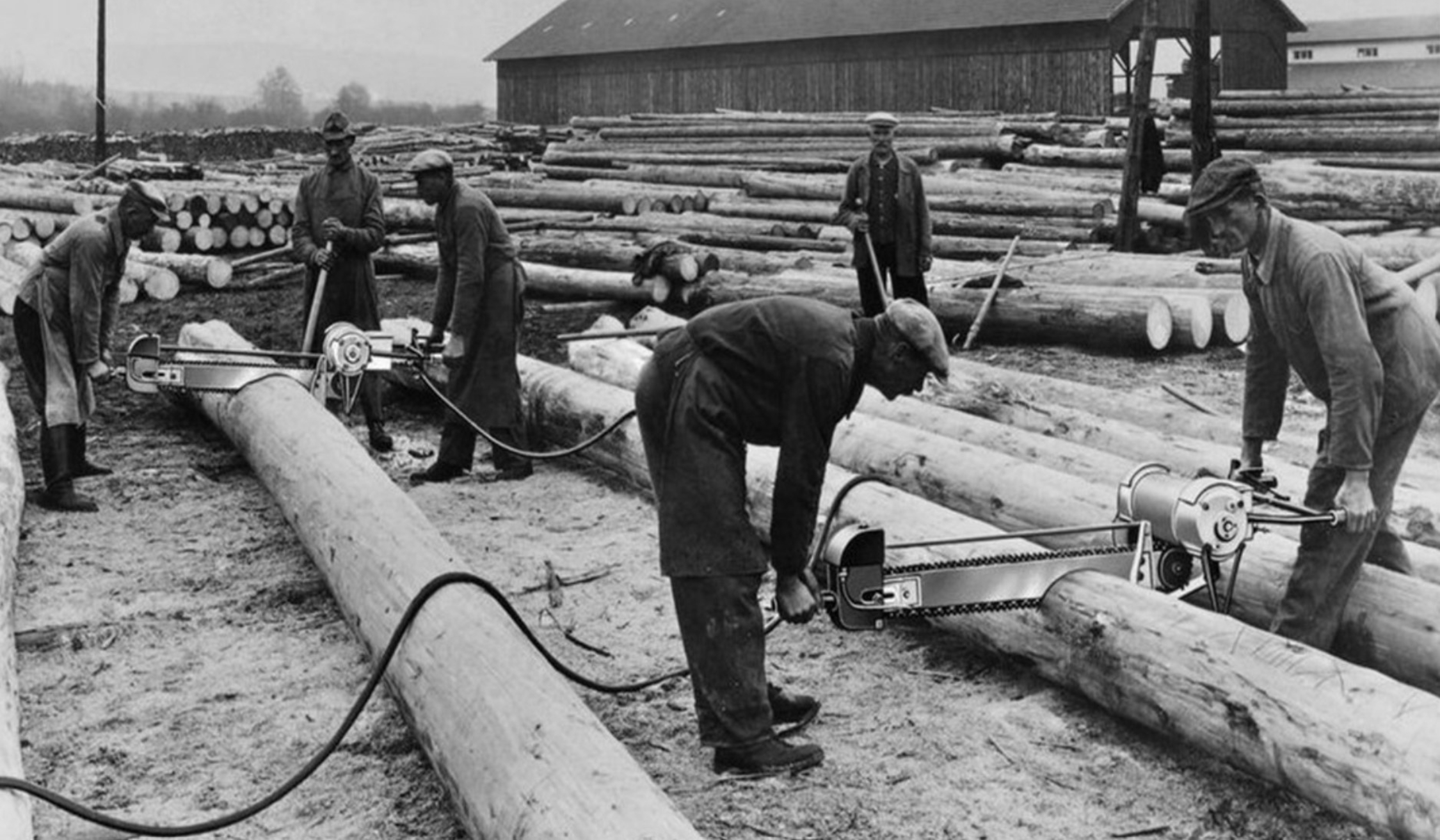 Husqvarna 51 Chainsaw Review: "Love My 51, So Reliable!"