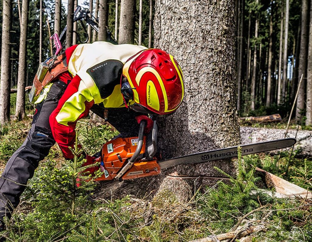 Pfanner Protos Helmet Review 2023: For Arborists And Chainsaw Users
