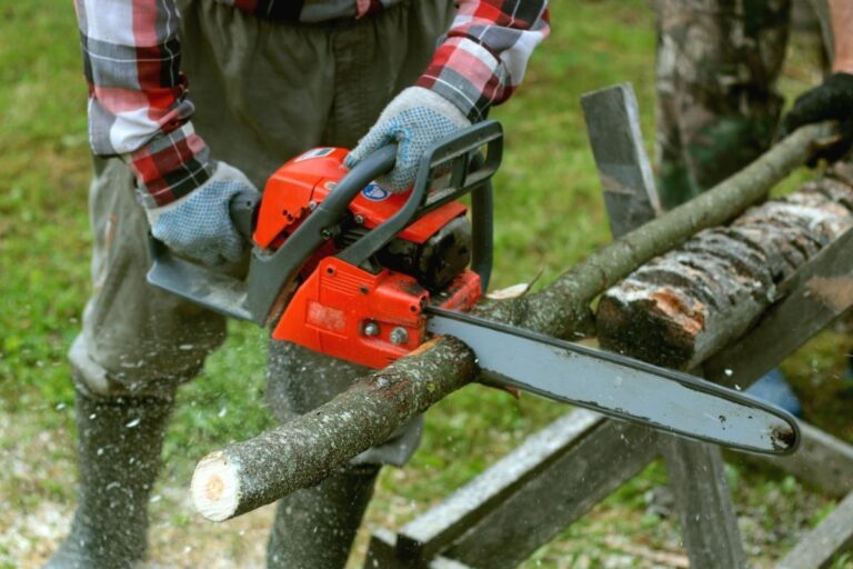 30 Chainsaw Brands 2024: The BEST And The WORST!