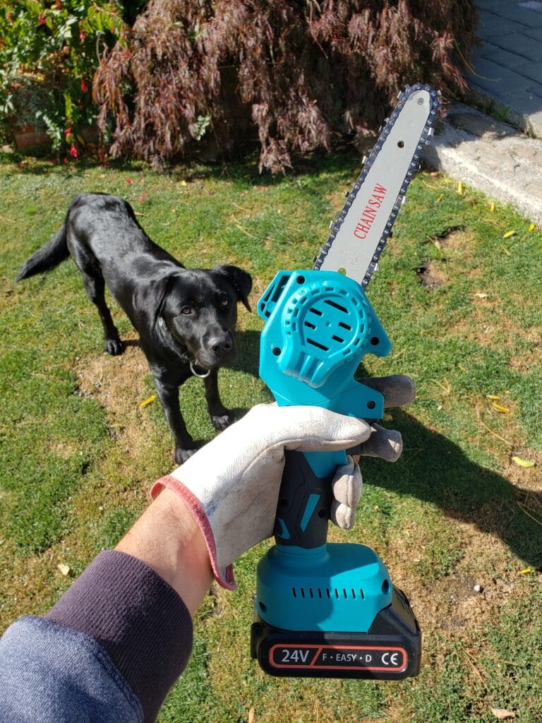 10 BEST Small and Mini Chainsaws: Handheld Saw Reviews