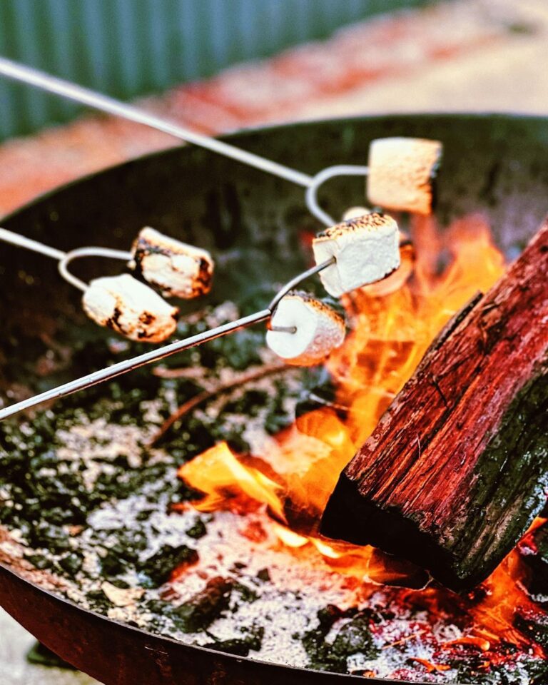 35 RUSTIC Fire Pit Ideas: Backyard Fire Pits And Country Vibes