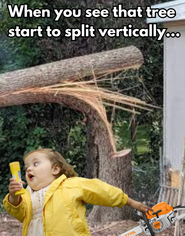 7 EPIC Barber Chair Tree Videos: Tree Trunks Splitting Vertically!