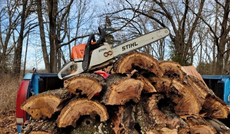10 BEST Small & Mini Chainsaws [Reviews 2023 ] Light Hand Held Saws