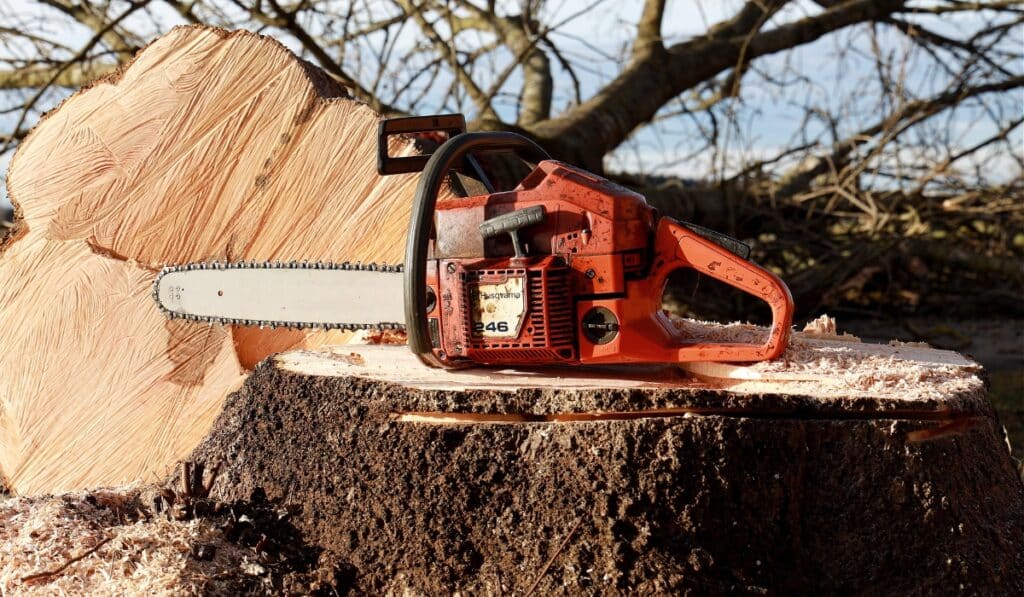 10 BEST Small & Mini Chainsaws [Reviews 2024 ] Hand Held Saws