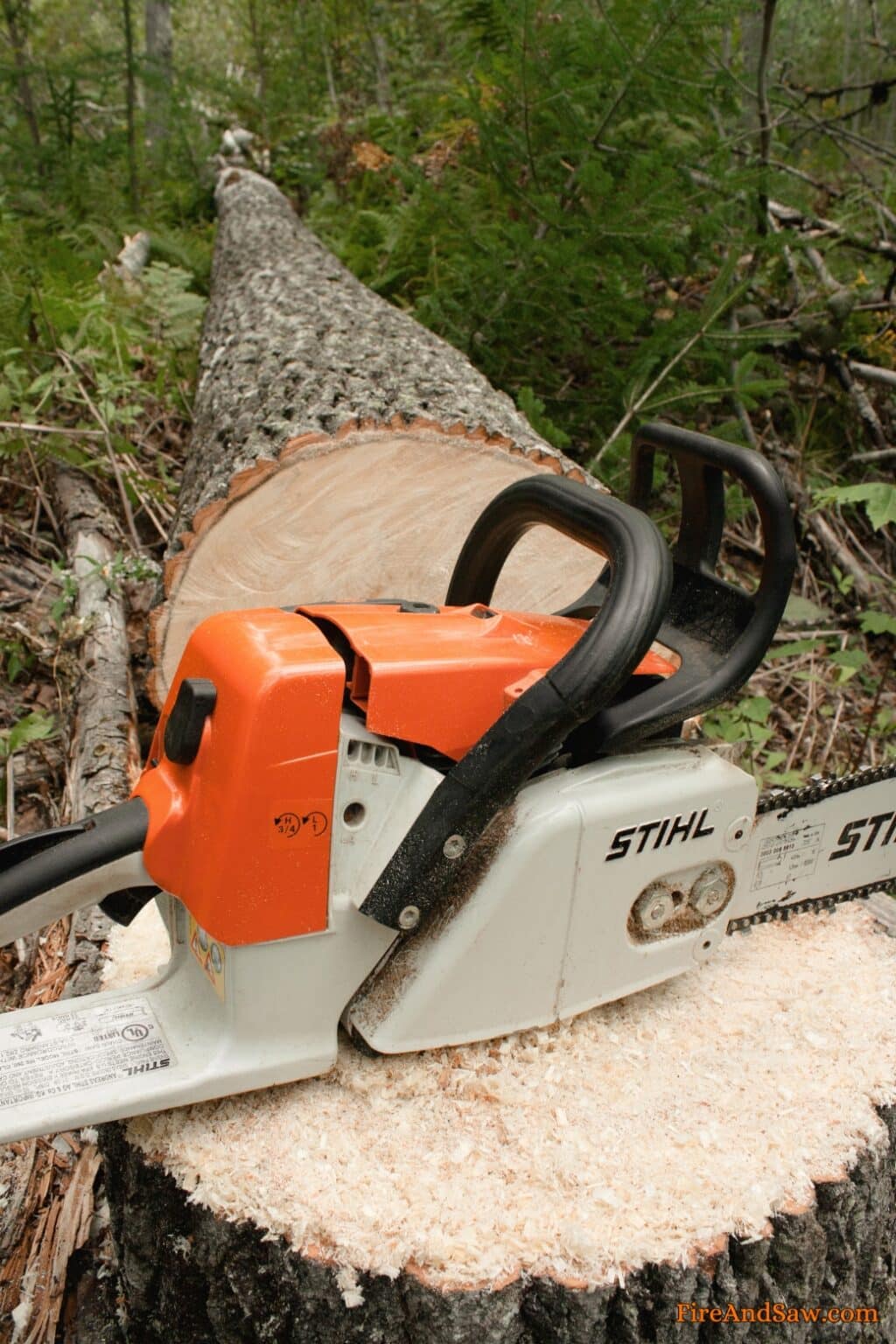 Stihl MS260 Chainsaw Review [2023] Specs, Versions, Price