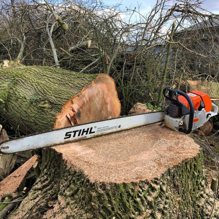 STIHL 088 Chainsaw: "A Monster Saw That'll You'll Feel Tomorrow"