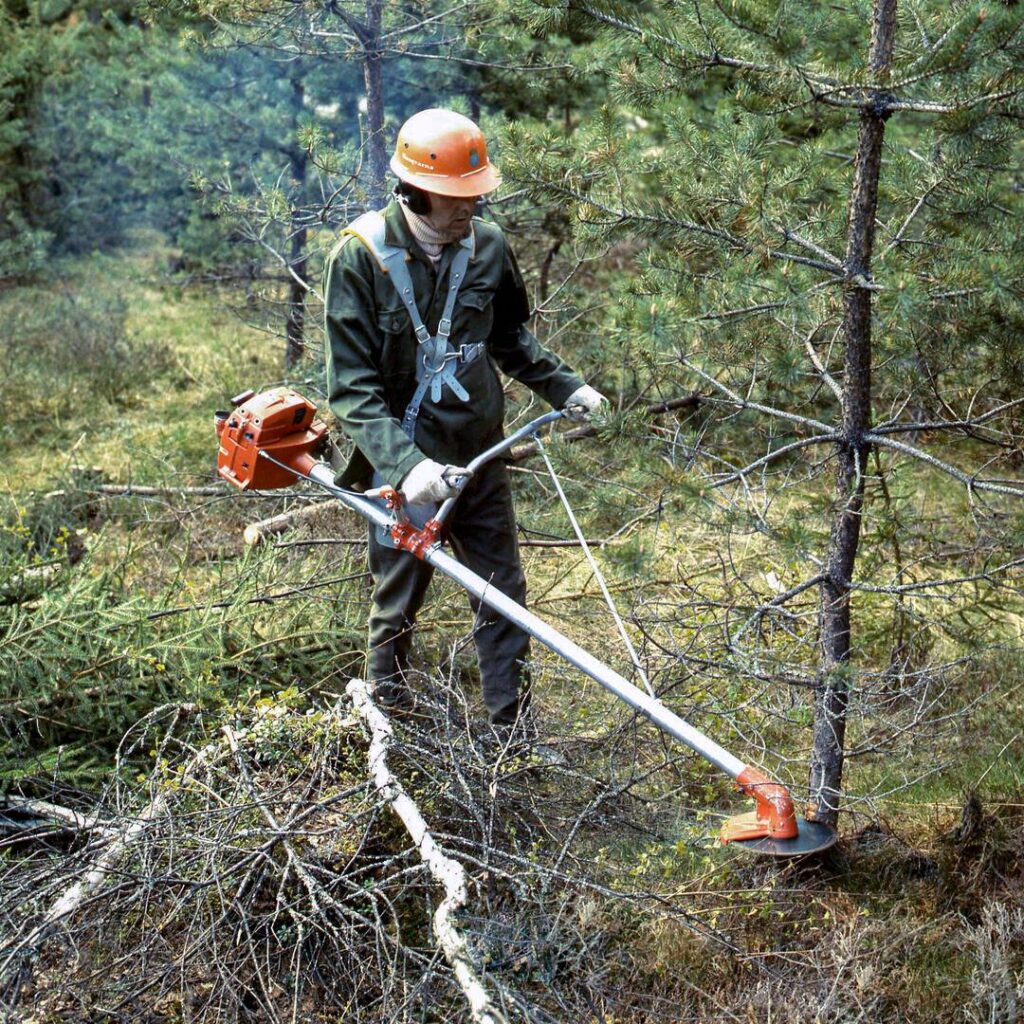 Husqvarna 65 Chainsaw: Versions, Specs, Reviews, Price 2024