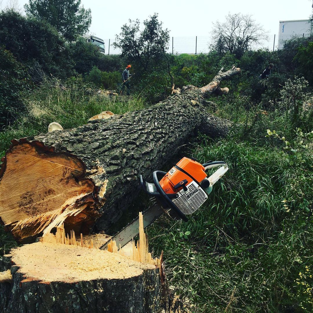 STIHL MS 650 Chainsaw Review: "The MS Version Of The 064"