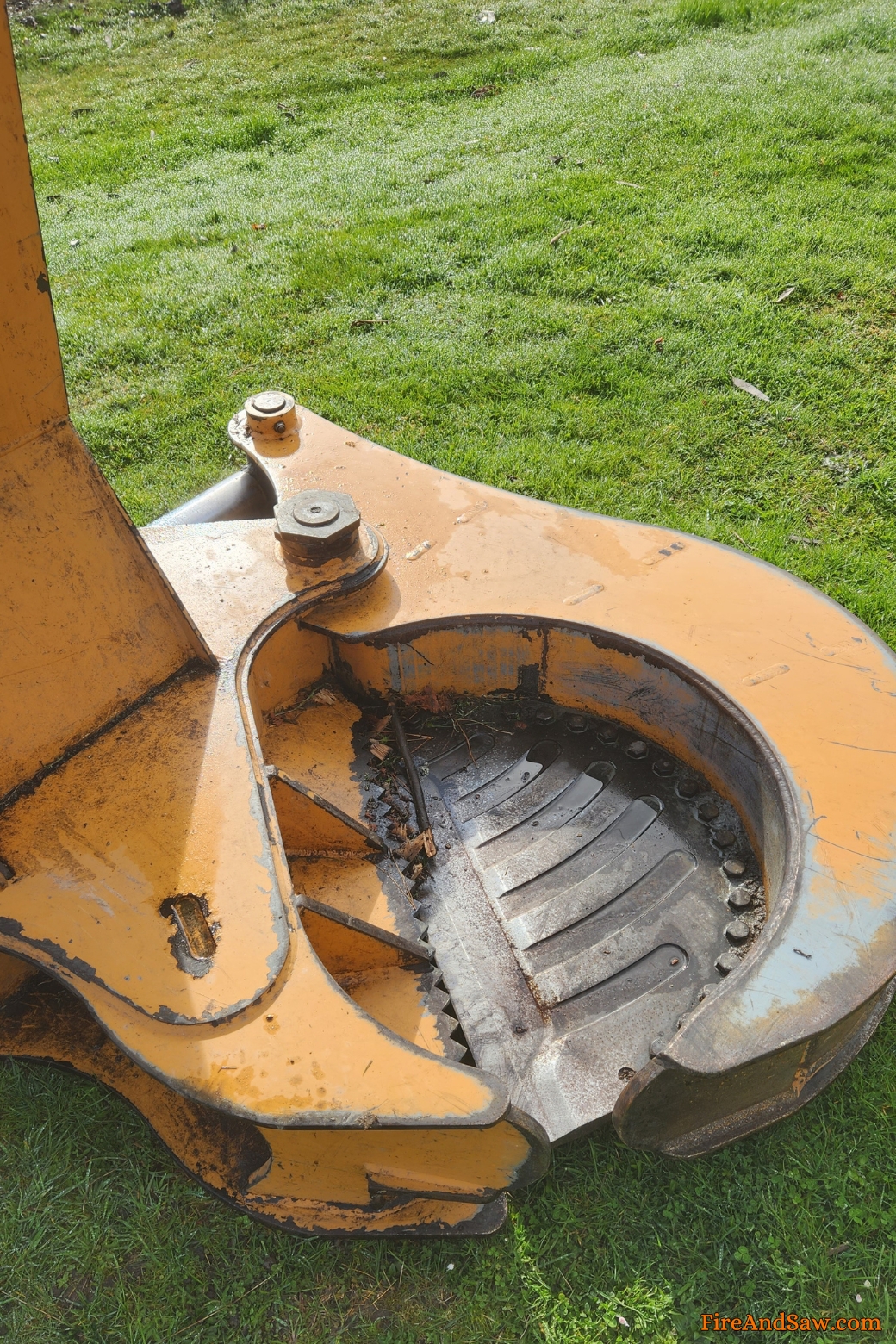 Before And After An Excavator Shear Removed These Large Trees