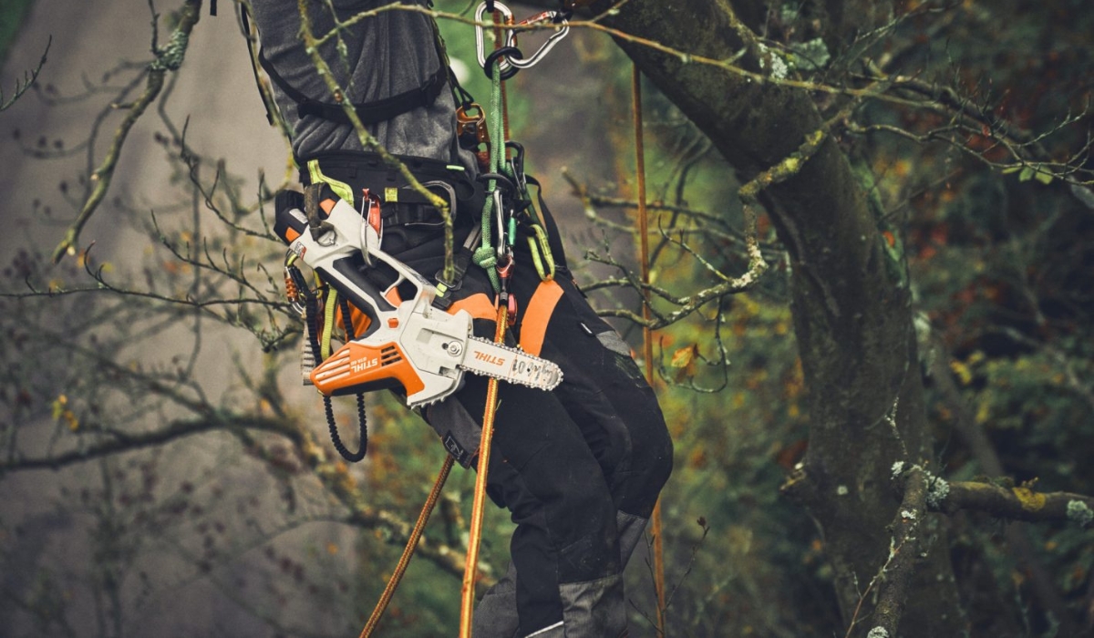 STIHL GTA 40 Mini Chainsaw for Professional Tree Workers